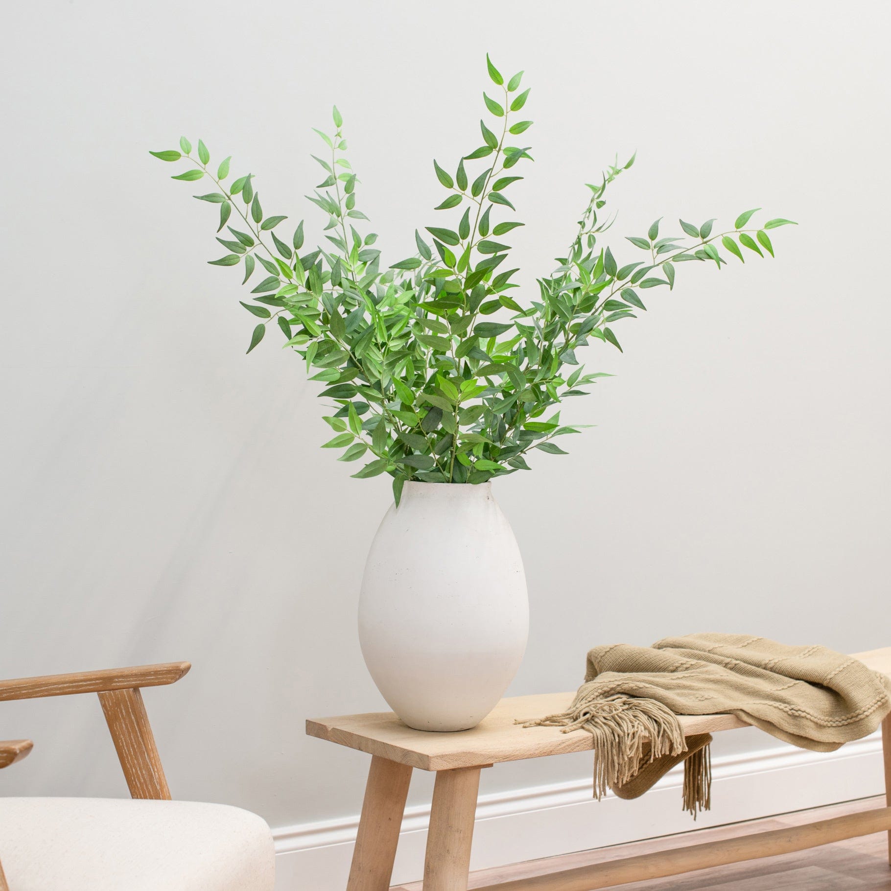 FS Ruscus Italian Grn 110cm – House of Isabella UK