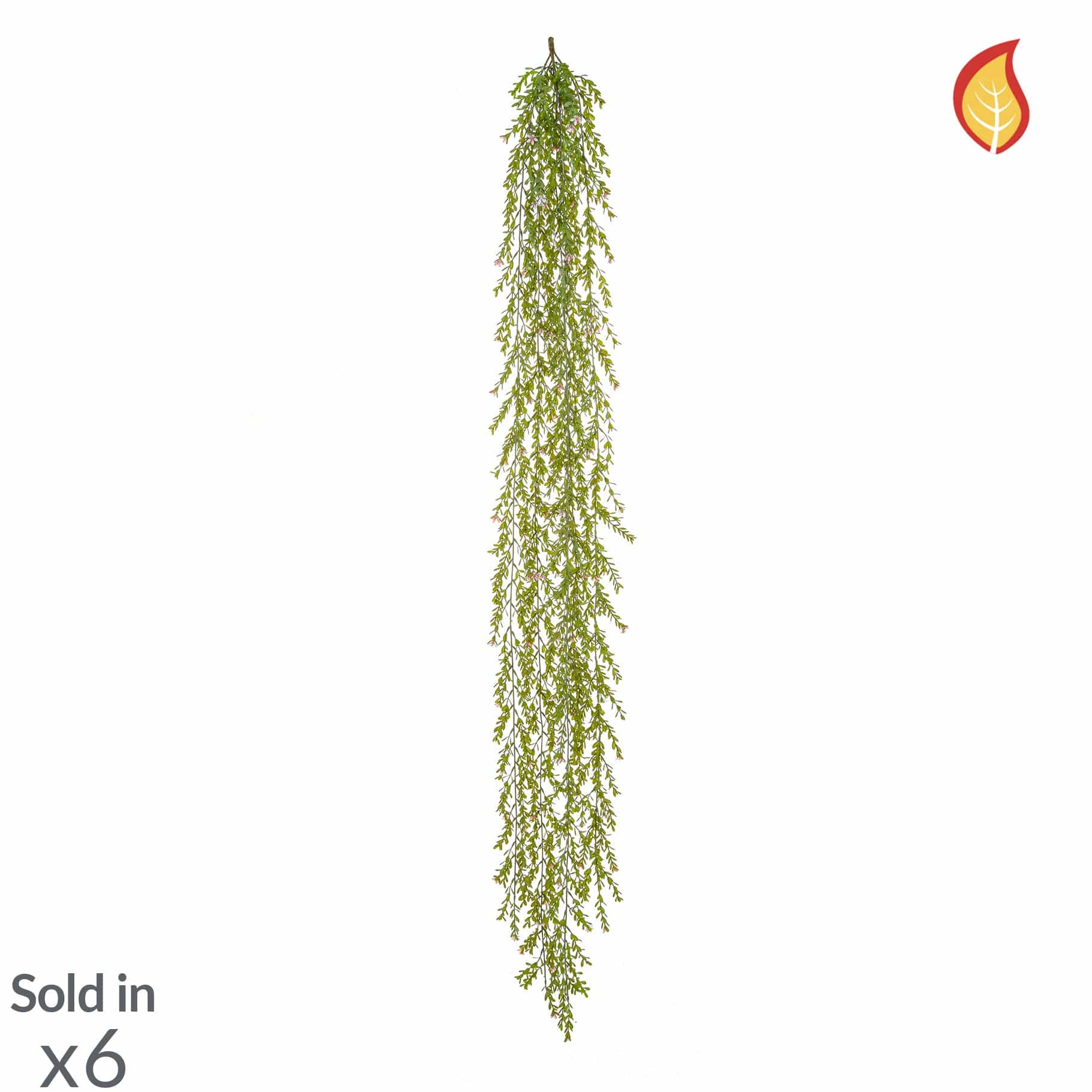 I & T Feather Fern Trail 165cm FR-S3 – House of Isabella UK