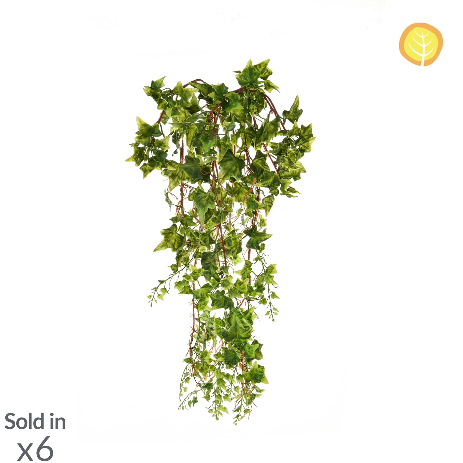 I & T Ivy Bush Plastic Green PI 80cm UV – House of Isabella UK