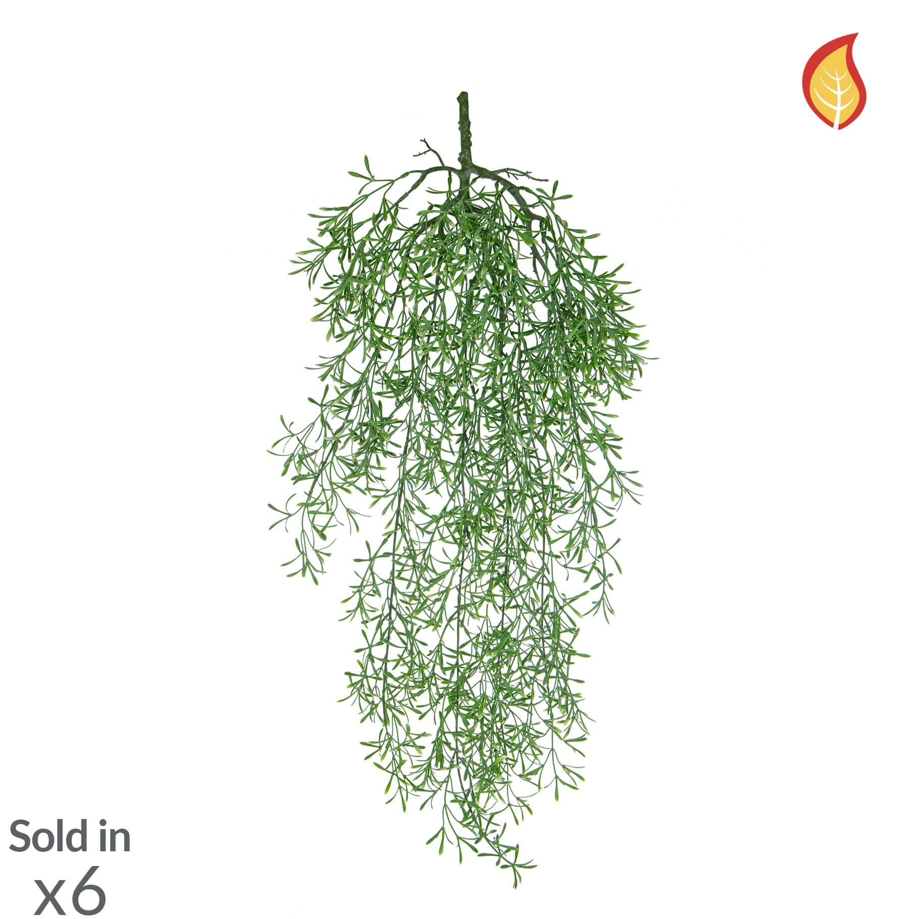 I & T Trailing Fern 75cm FR-S3 – House of Isabella UK