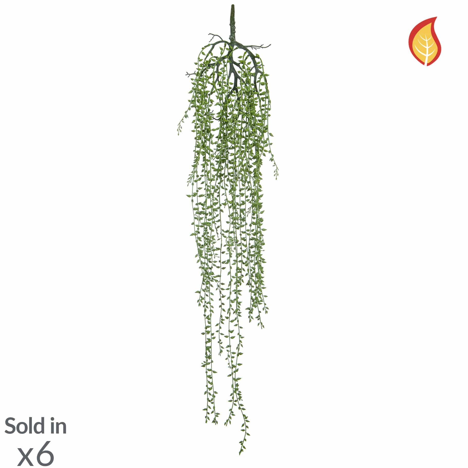 I & T Trailing Fern 85cm FR-S3 – House of Isabella UK