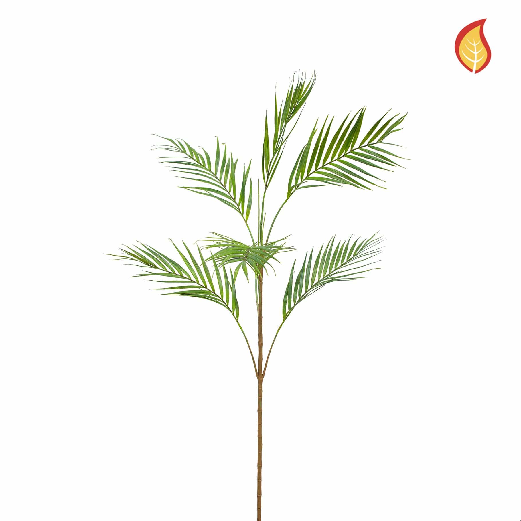 Palm Areca Stem 150cm FR-S14 – House of Isabella UK