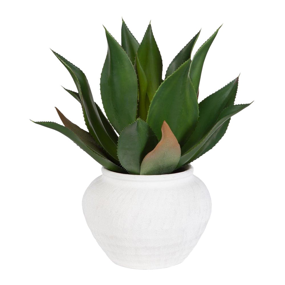 Uttermost Tierra Agave Centerpiece – House of Isabella UK
