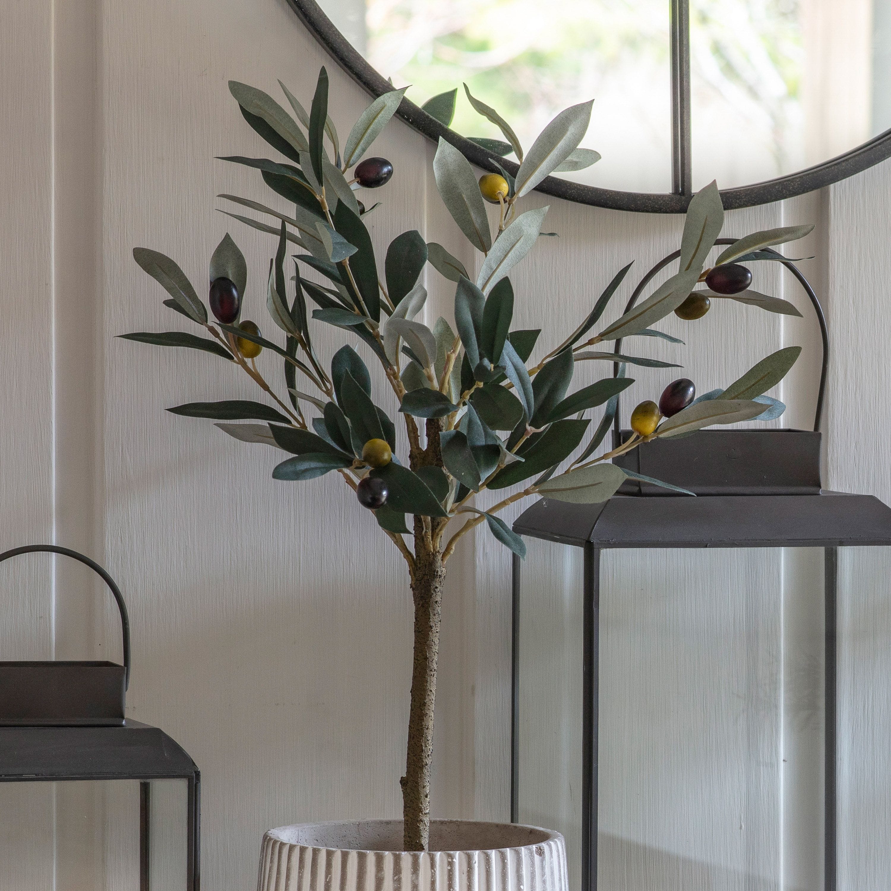 Olive Tree Small – House of Isabella UK